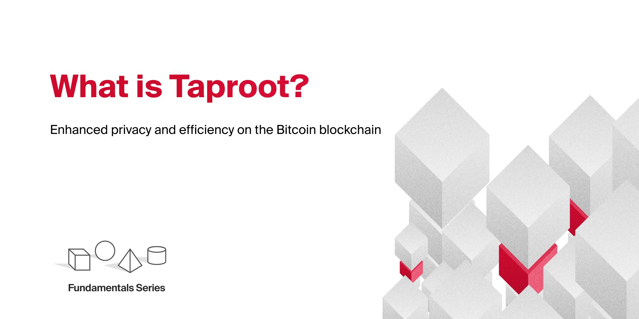 What is Taproot? | Bitcoin Suisse