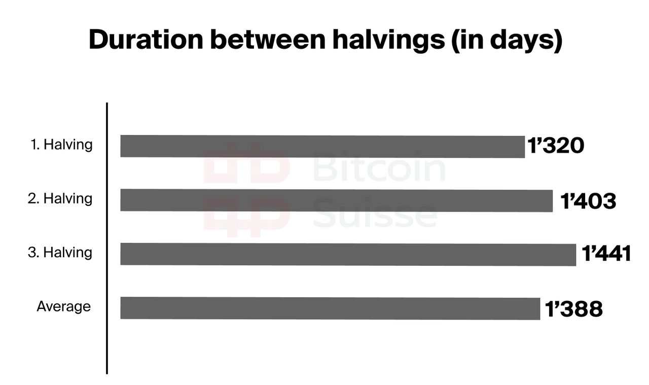 The Bitcoin Halving and the Bitcoin Market Cycle