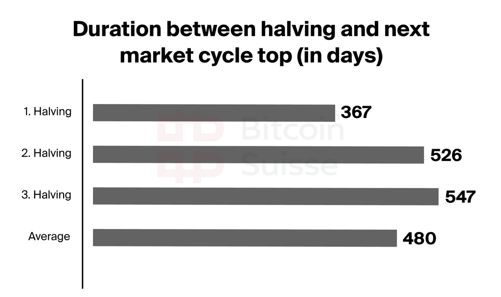 The Bitcoin Halving and the Bitcoin Market Cycle