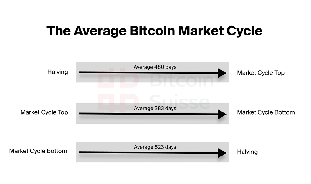 The Bitcoin Halving and the Bitcoin Market Cycle
